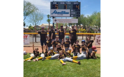 Ahwatukee American Little League Baseball > Home