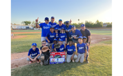 Ahwatukee American Little League Baseball > Home