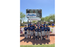 Ahwatukee American Little League Baseball > Home